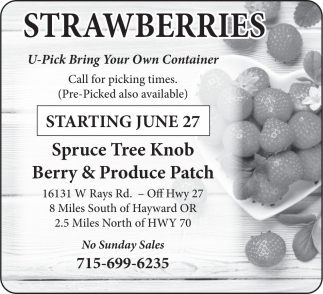 Strawberries, Spruce Tree Knob Berry & Produce Patch, Hayward, WI